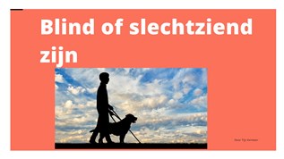 Blind of slechtziend zijn at emaze Presentation