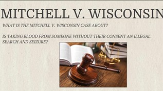 Mitchell V. Wisconsin at emaze Presentation