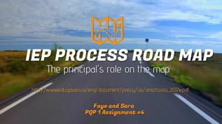 IEP Process Road Map at emaze Presentation