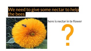 How could we find out what is in Nectar? at emaze Presentation