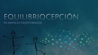 Equilibriocepción at emaze Presentation