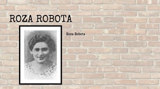 Roza Robota at emaze Presentation