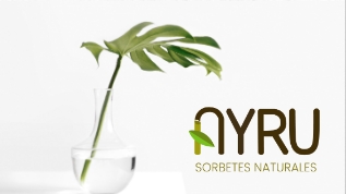 CATÁLOGO AYRU COMPENDIO 2019 at emaze Presentation