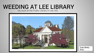 Weeding Lee Public Library at emaze Presentation