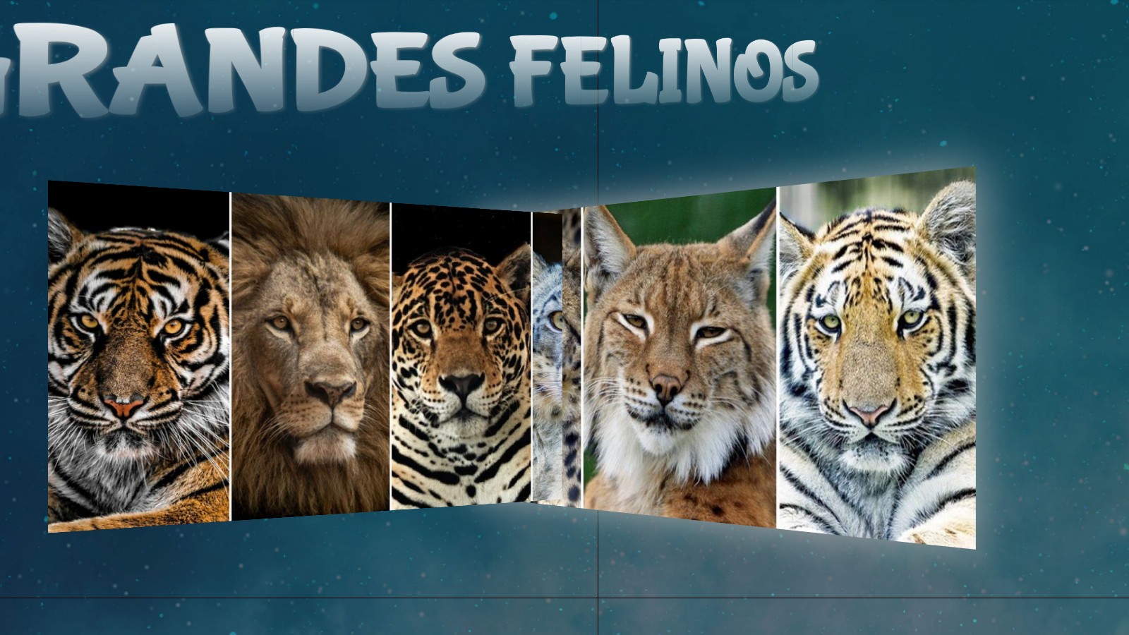 Grandes felinos at emaze Presentation