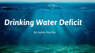 Drinking Water Deficit at emaze Presentation