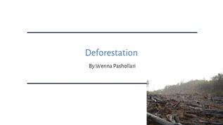 Deforestation at emaze Presentation