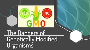 Against Genetically Modified Organisms at emaze Presentation