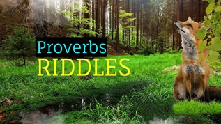 riddle and proverbs at emaze Presentation