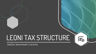LEONI TAX STRUCTURE at emaze Presentation