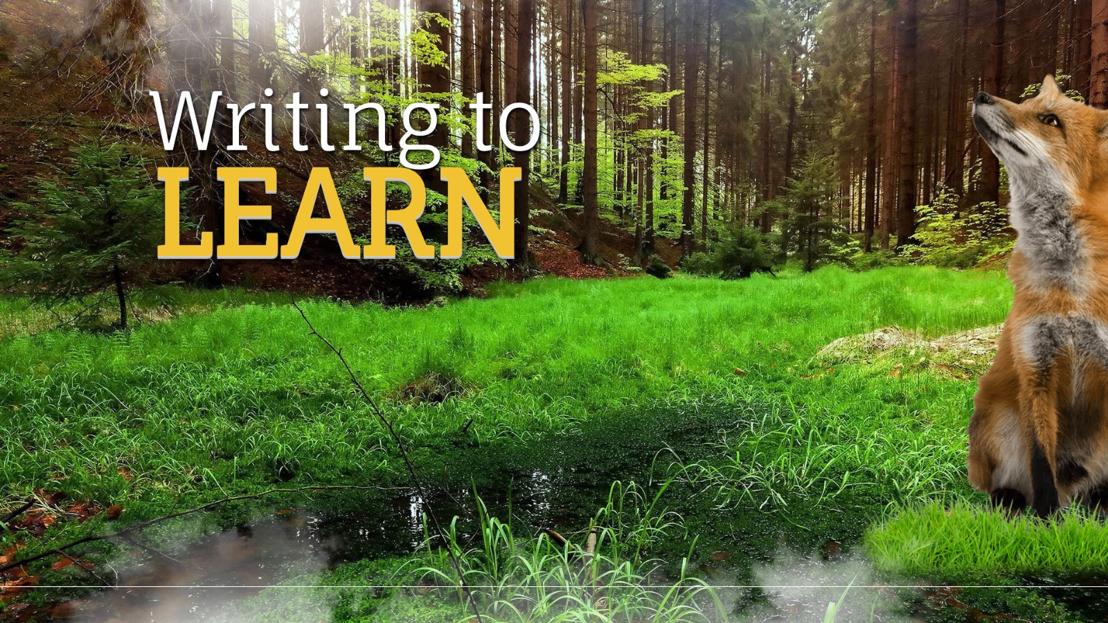 writing to learn at emaze Presentation