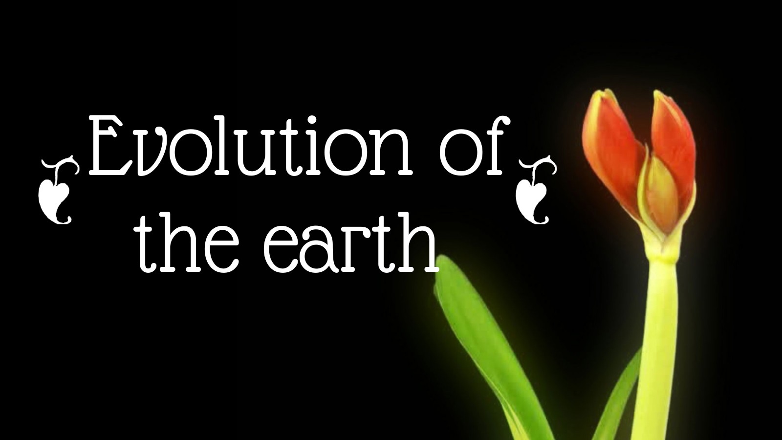 Evolution of the earth at emaze Presentation