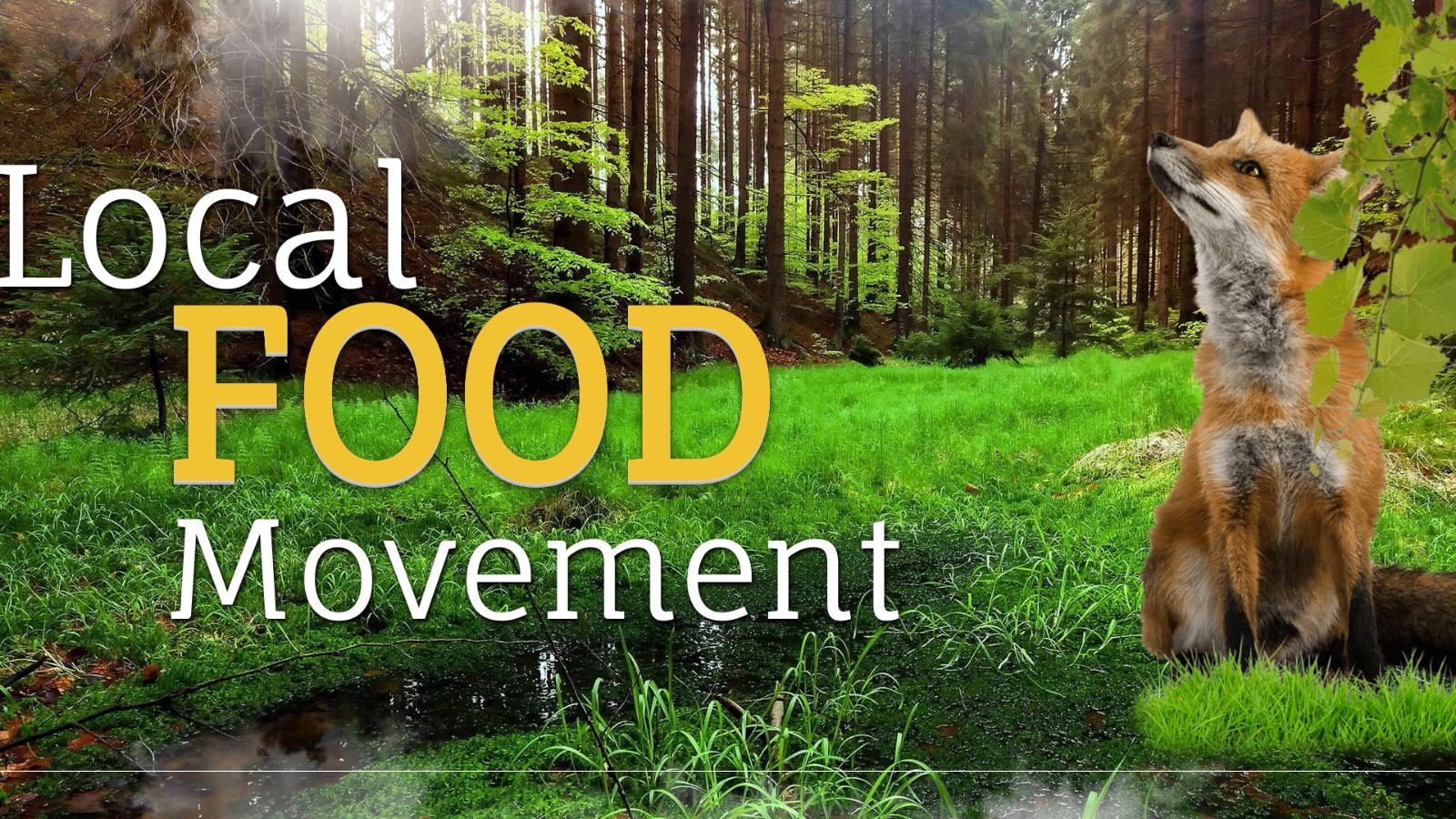 Local Food Movement - Spaid at emaze Presentation