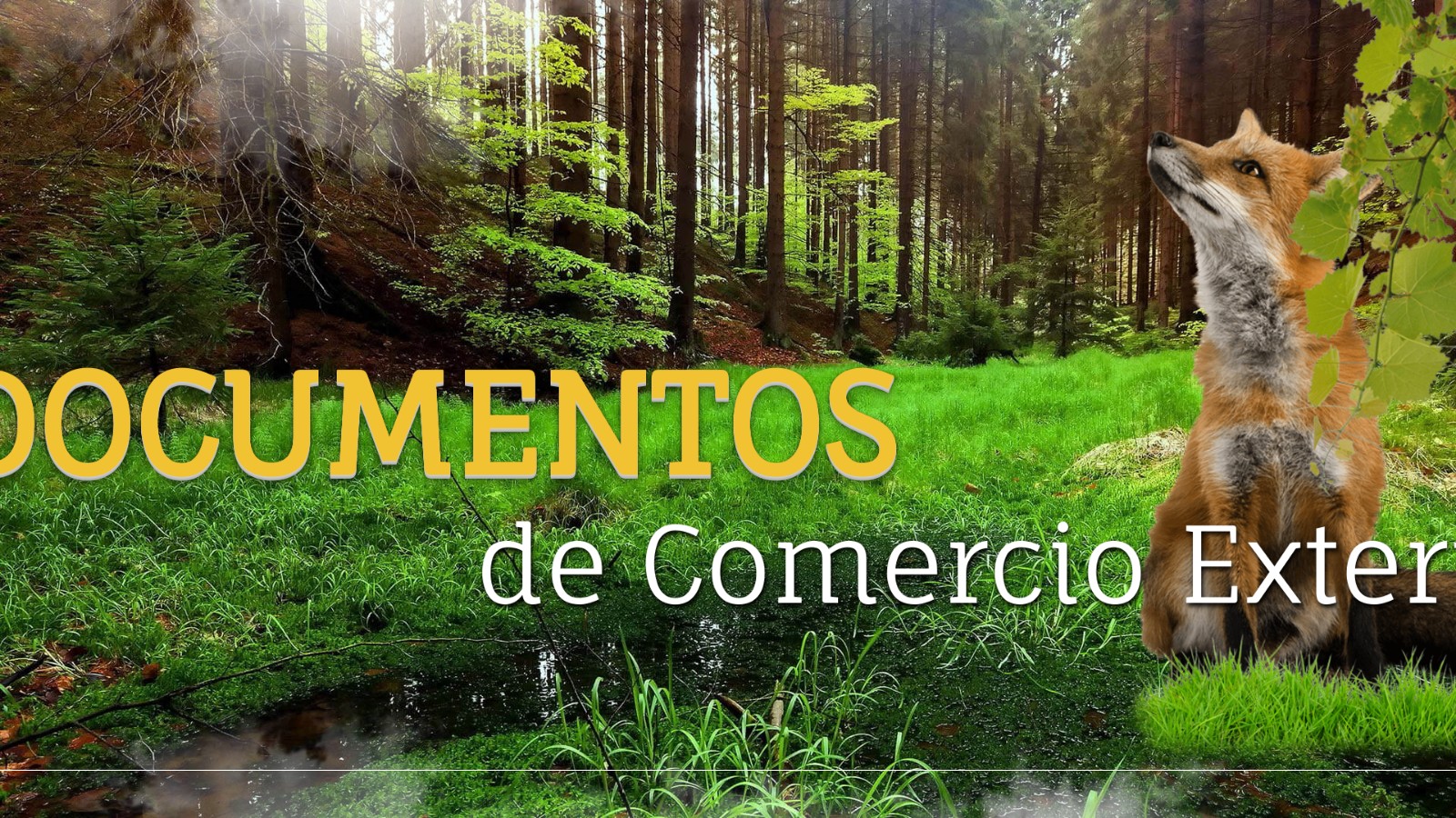 DOCUMENTOS COMERCIALES at emaze Presentation