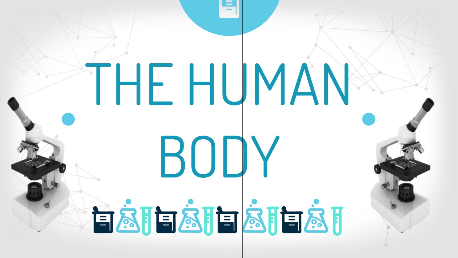 THE HUMAN BODY at emaze Presentation