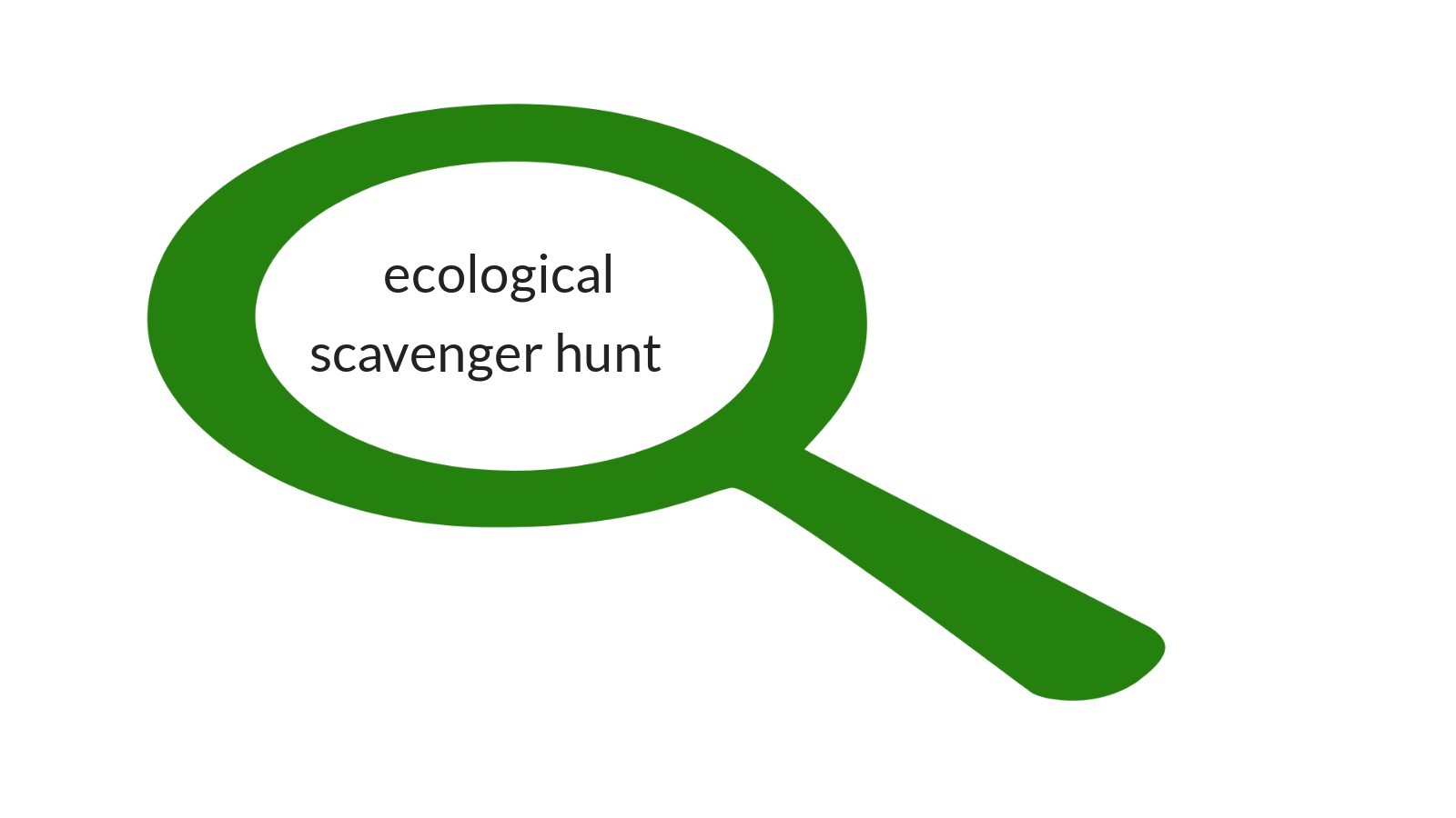 ecological scavenger hunt at emaze Photo Album