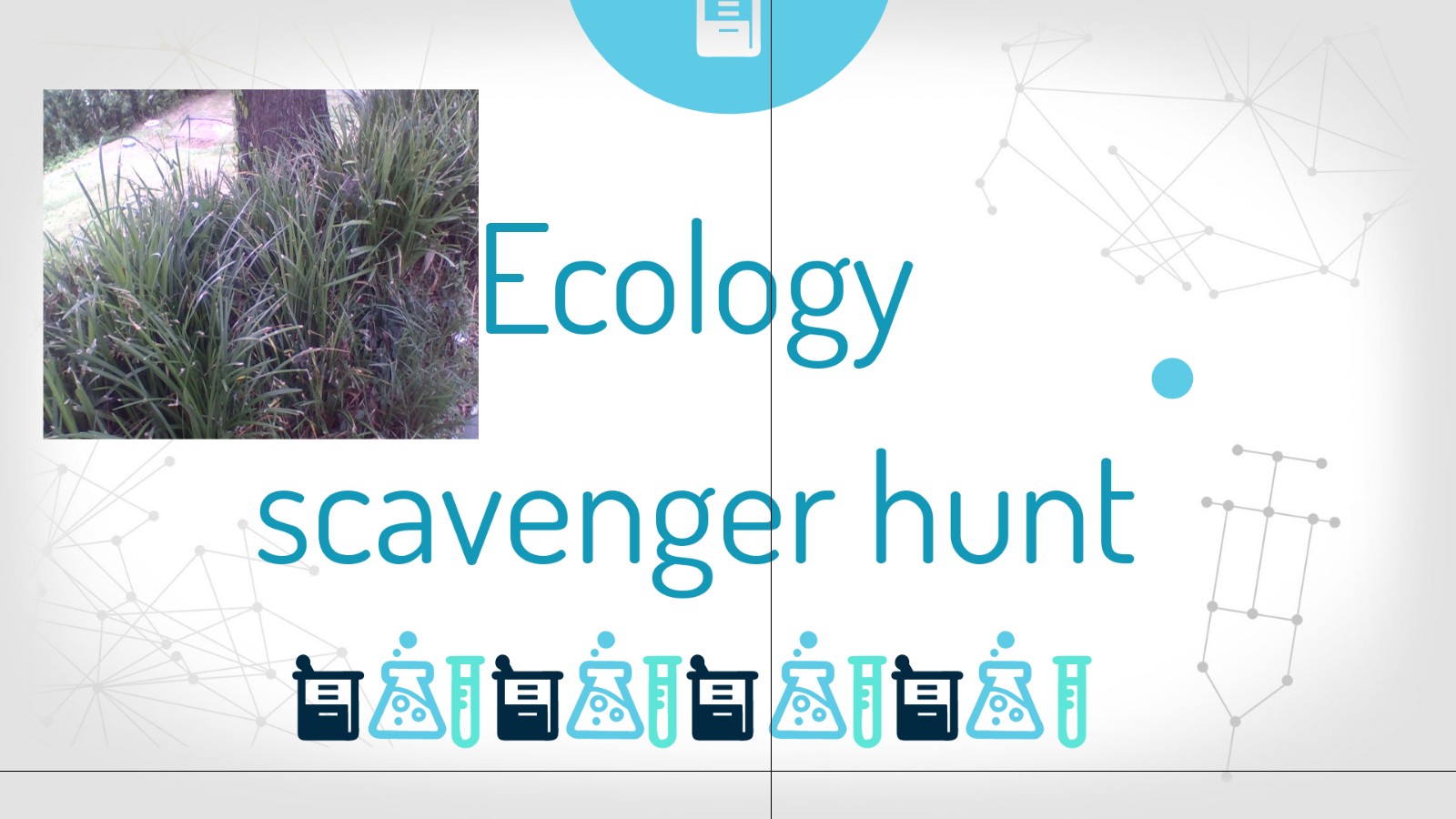 Ecology scavenger hunt at emaze Presentation