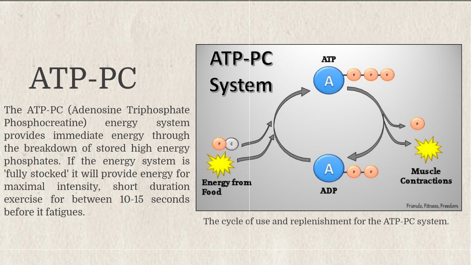 Energy Systems: Netball at emaze Presentation