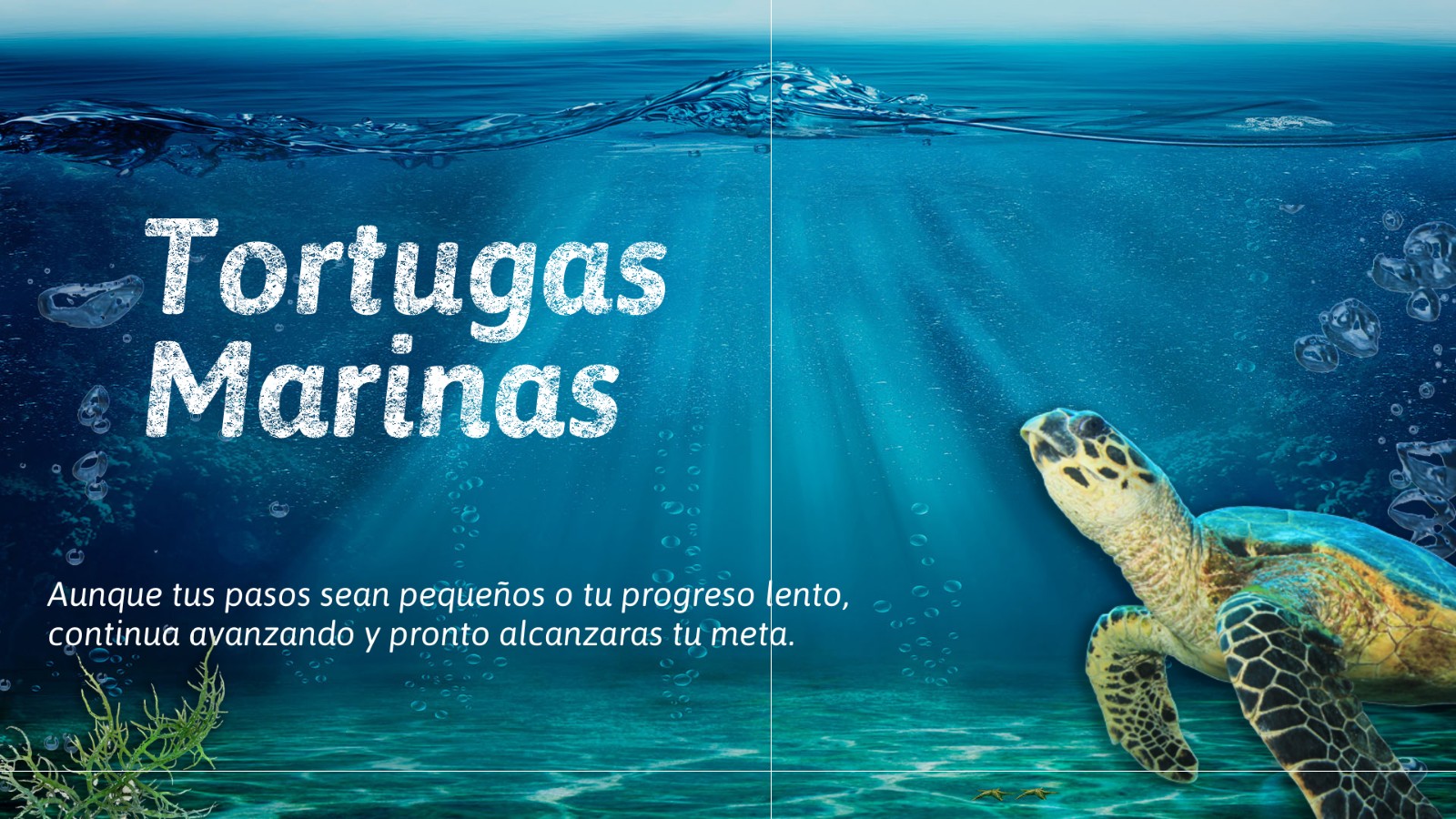 Tortugas Marinas at emaze Presentation