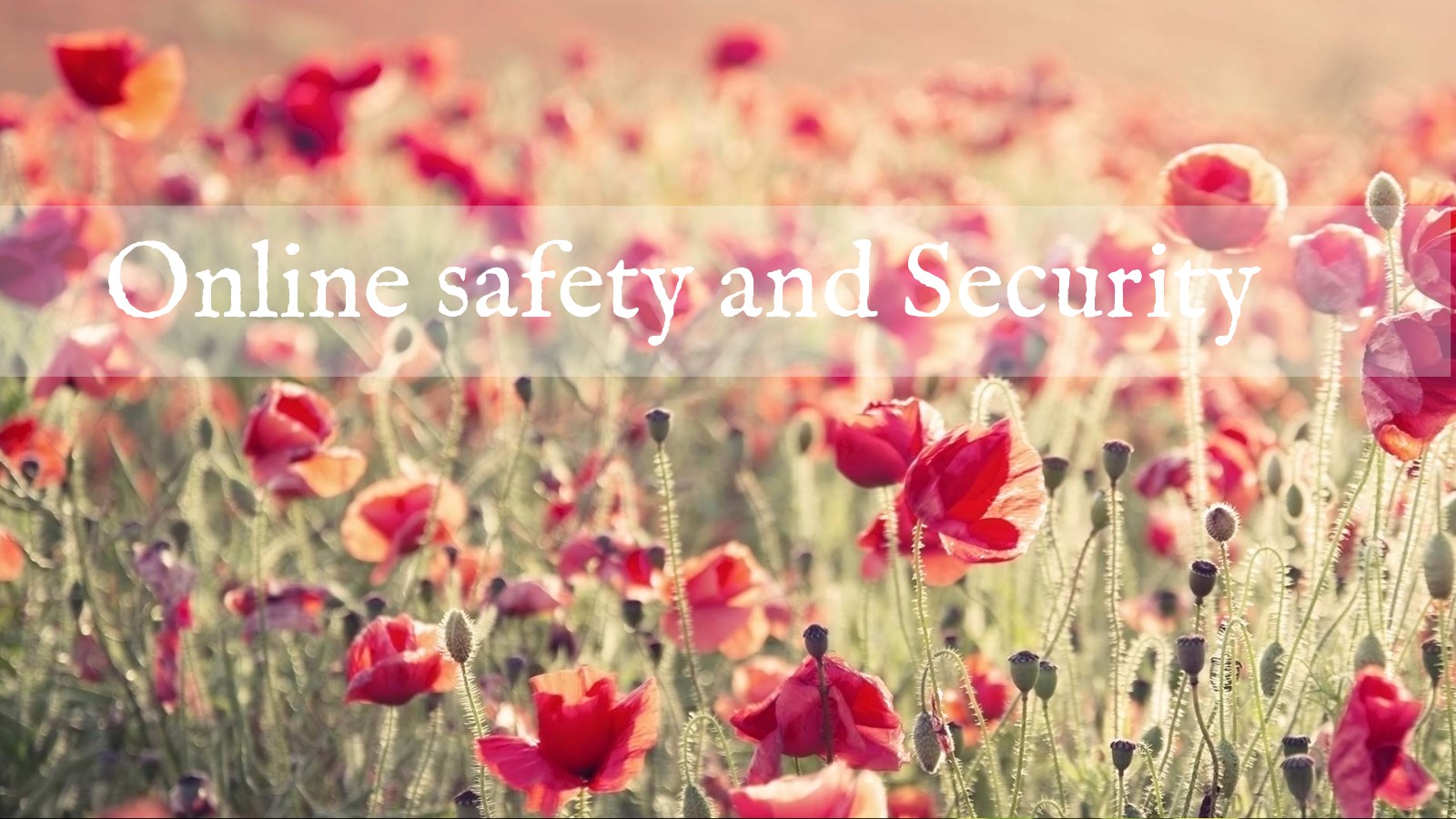 Online safety and Security at emaze Presentation