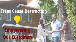 Trees Cause Destruction at emaze Presentation