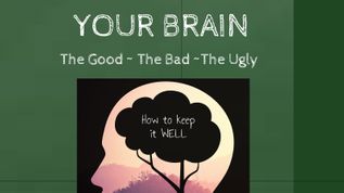 YOUR BRAIN at emaze Presentation