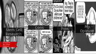 Stem Cell Reasearch at emaze Presentation