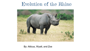 Evolution of the Rhino at emaze Presentation