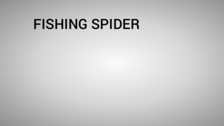 Fishing Spider Presentation at emaze Presentation