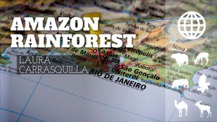 Amazon rainforest at emaze Presentation