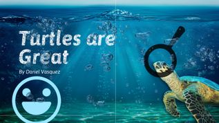 All about Turtles at emaze Presentation