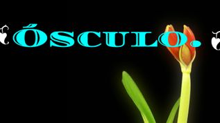 Ósculo. at emaze Presentation