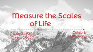 Measure the Scales at emaze Presentation