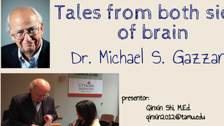 split brain at emaze Presentation