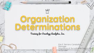 Organization Determinations at emaze Presentation