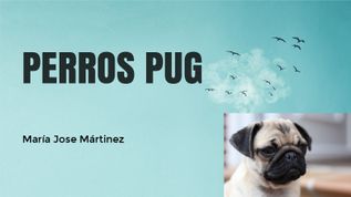 PERROS PUG at emaze Presentation