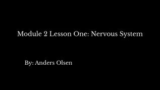 Module 2 Lesson One: Nervous System at emaze Presentation