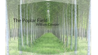 The Poplar Field at emaze Presentation