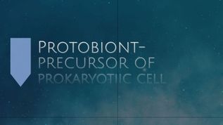 Protobiont at emaze Presentation