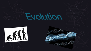 Biology Evolution at emaze Presentation