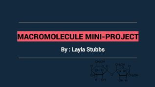 MACROMOLECULE MINI-PROJECT at emaze Presentation