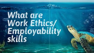 What are Work Ethics Employability skills at emaze Presentation