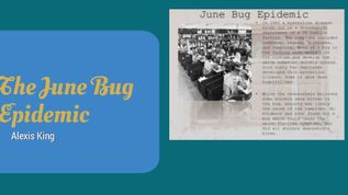 The June Bug Epidemic at emaze Presentation