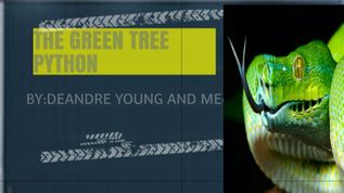 THE GREEN TREE python copy1 at emaze Presentation