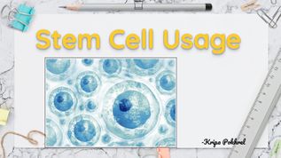 Stem Cell Usage at emaze Presentation