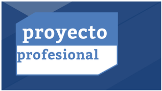 proyecto professional at emaze Presentation