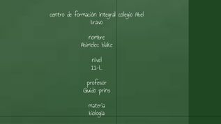 centro de formacion integral colegio abel br at emaze Presentation