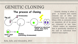 genetic cloning at emaze Presentation