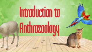 Anthrozoology at emaze Presentation