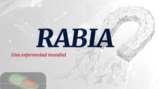 RABIA at emaze Presentation